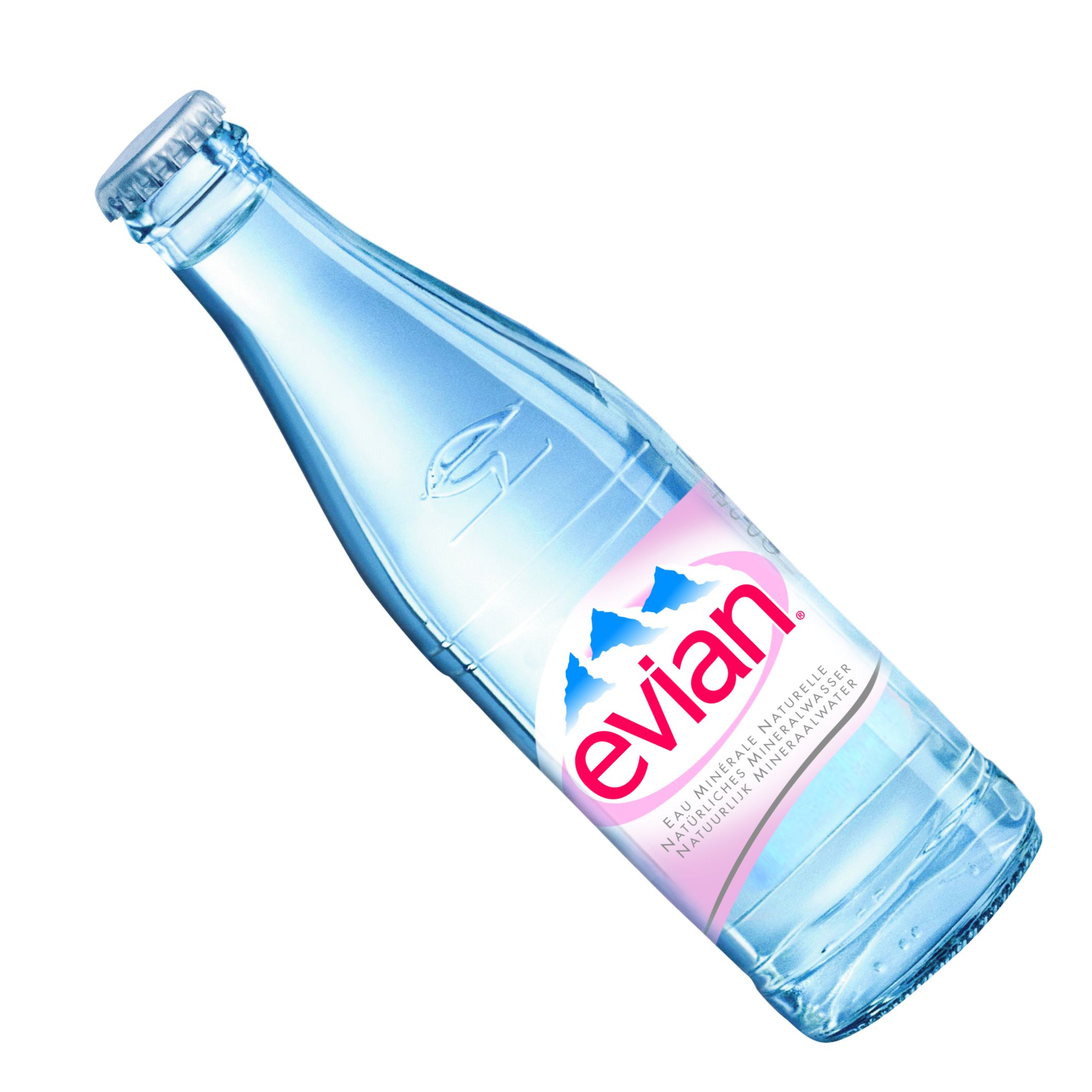 getränkemobil.de - Evian 20/0,25 L